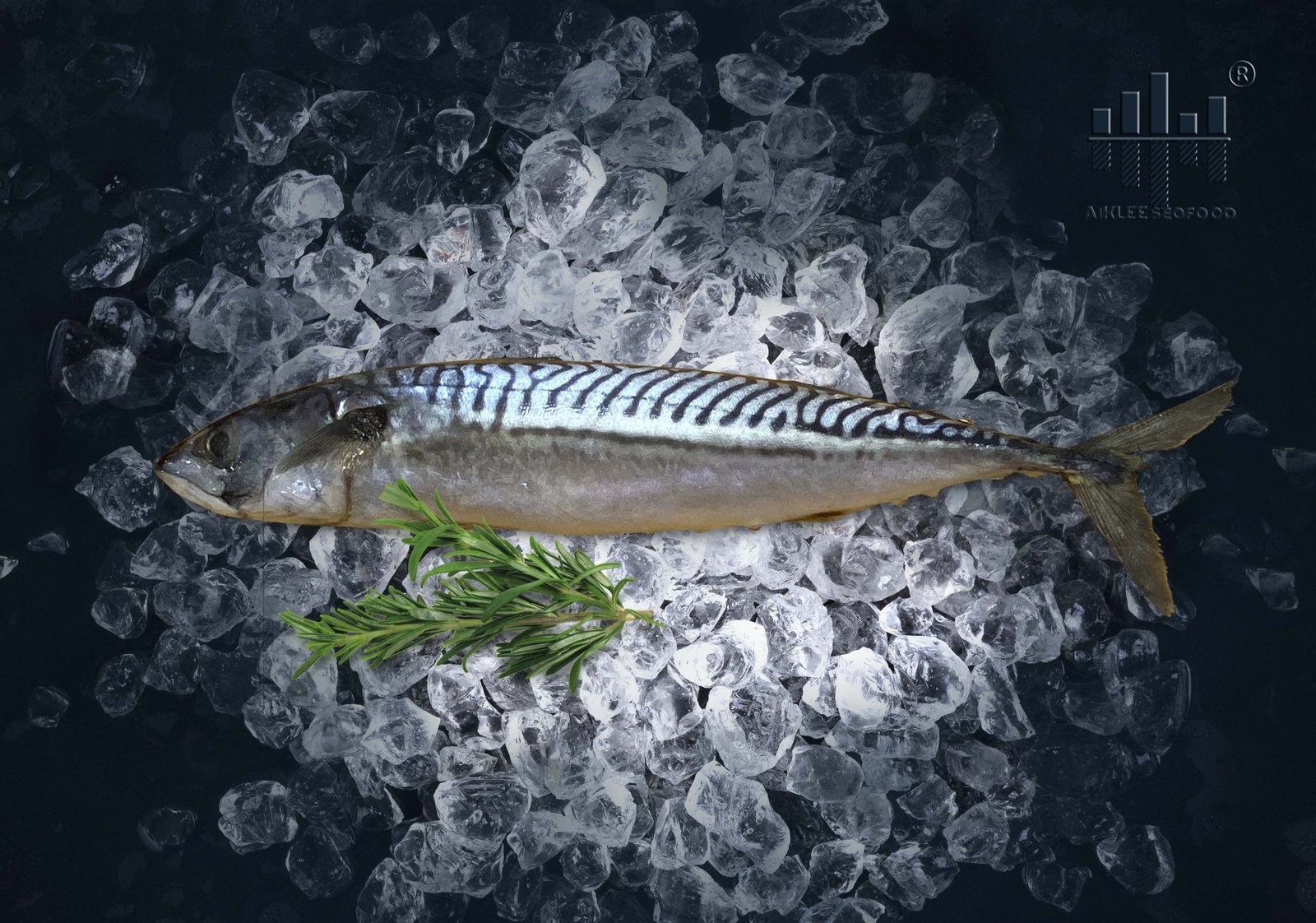 [AIKLEE] FRESH Saba fish 鲭鱼 (500g) [SEAFOOD] ⋆ Aiklee Seafood
